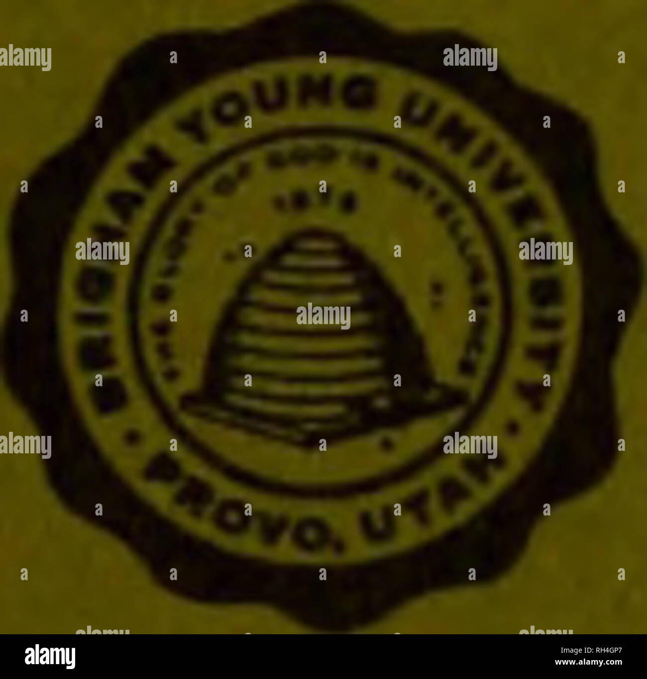 Mesostigmata hi-res stock photography and images - Alamy