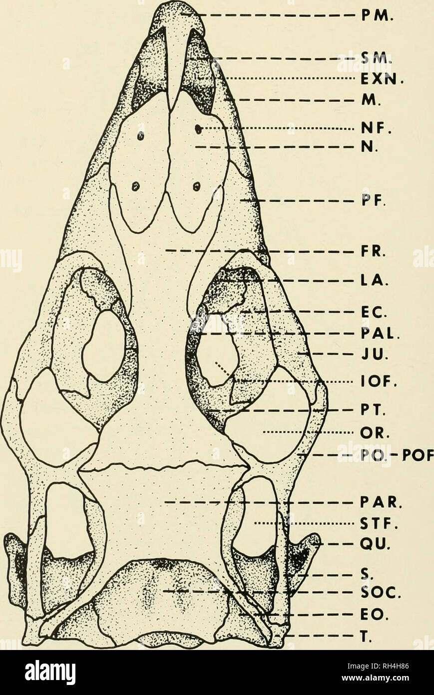. Brigham Young University science bulletin. Biology -- Periodicals ...