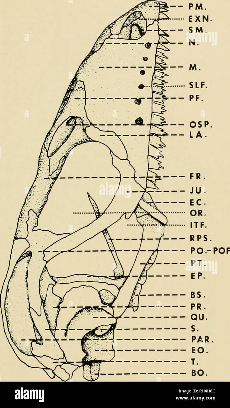 . Brigham Young University science bulletin. Biology -- Periodicals ...