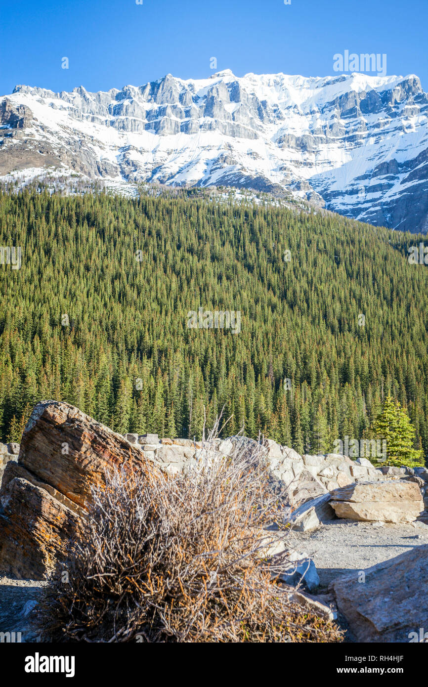 Panorama of Banff National Park. Alberta, Canada Stock Photo - Alamy