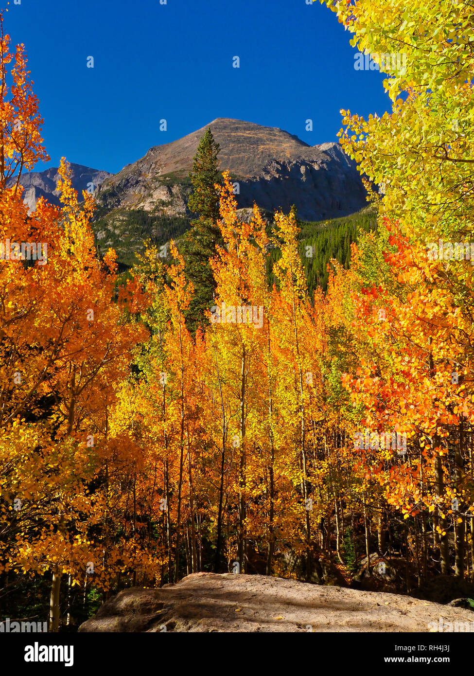 Bierstadt Lake Trail, Rocky Mountain National Park, Estes Park ...