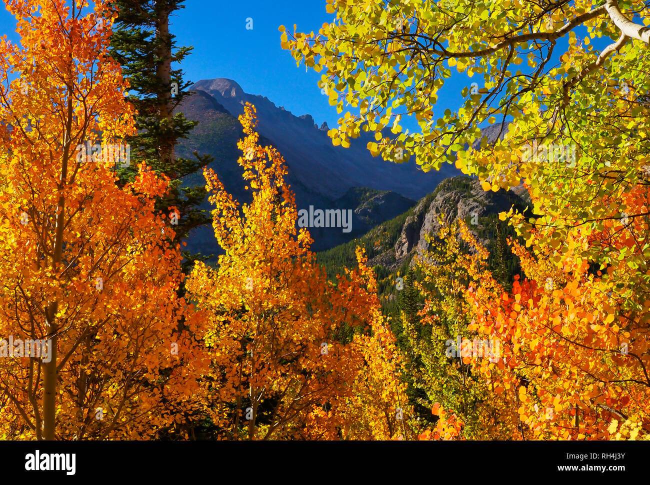 Bierstadt Lake Trail, Rocky Mountain National Park, Estes Park ...