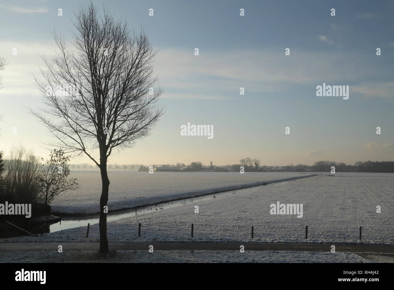 winter landscape in the netherlands Stock Photo - Alamy