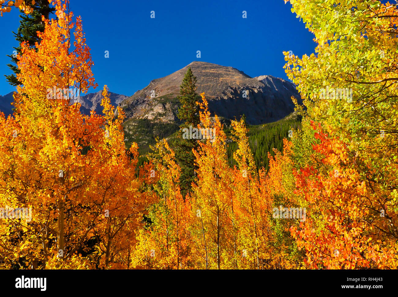 Bierstadt Lake Trail, Rocky Mountain National Park, Estes Park ...