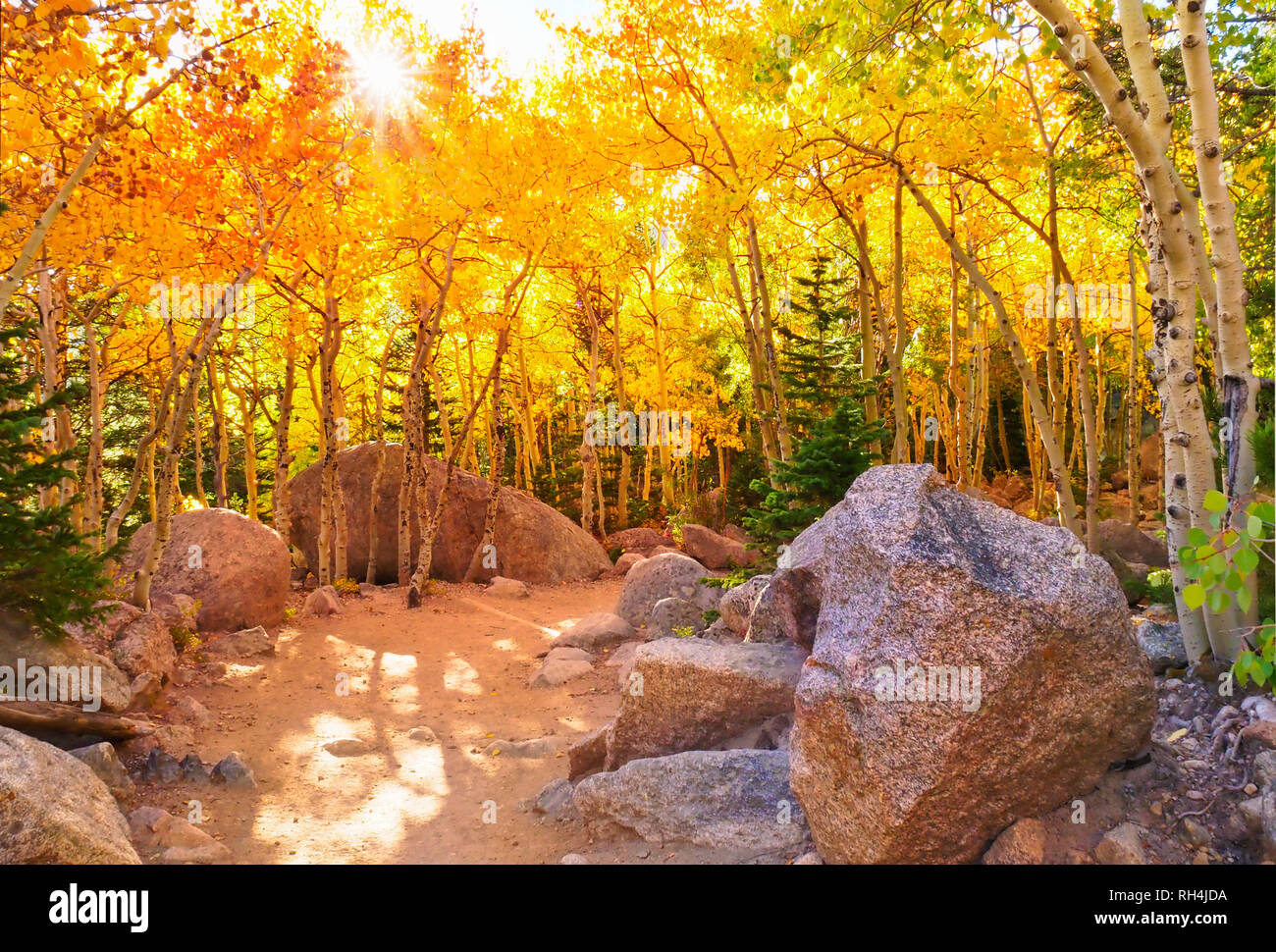 Mills Lake Trail, Rocky Mountain National Park, Estes, Colorado, USA ...