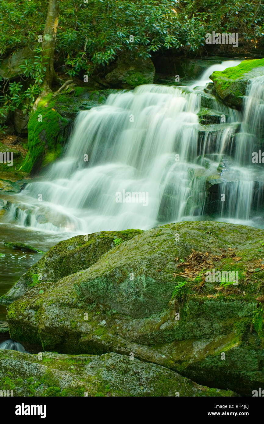 Blackwater falls state park elakala hi-res stock photography and images ...
