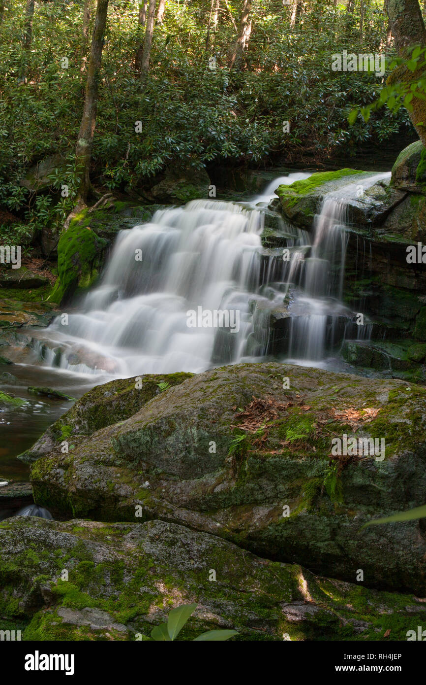 Blackwater falls state park elakala hi-res stock photography and images ...
