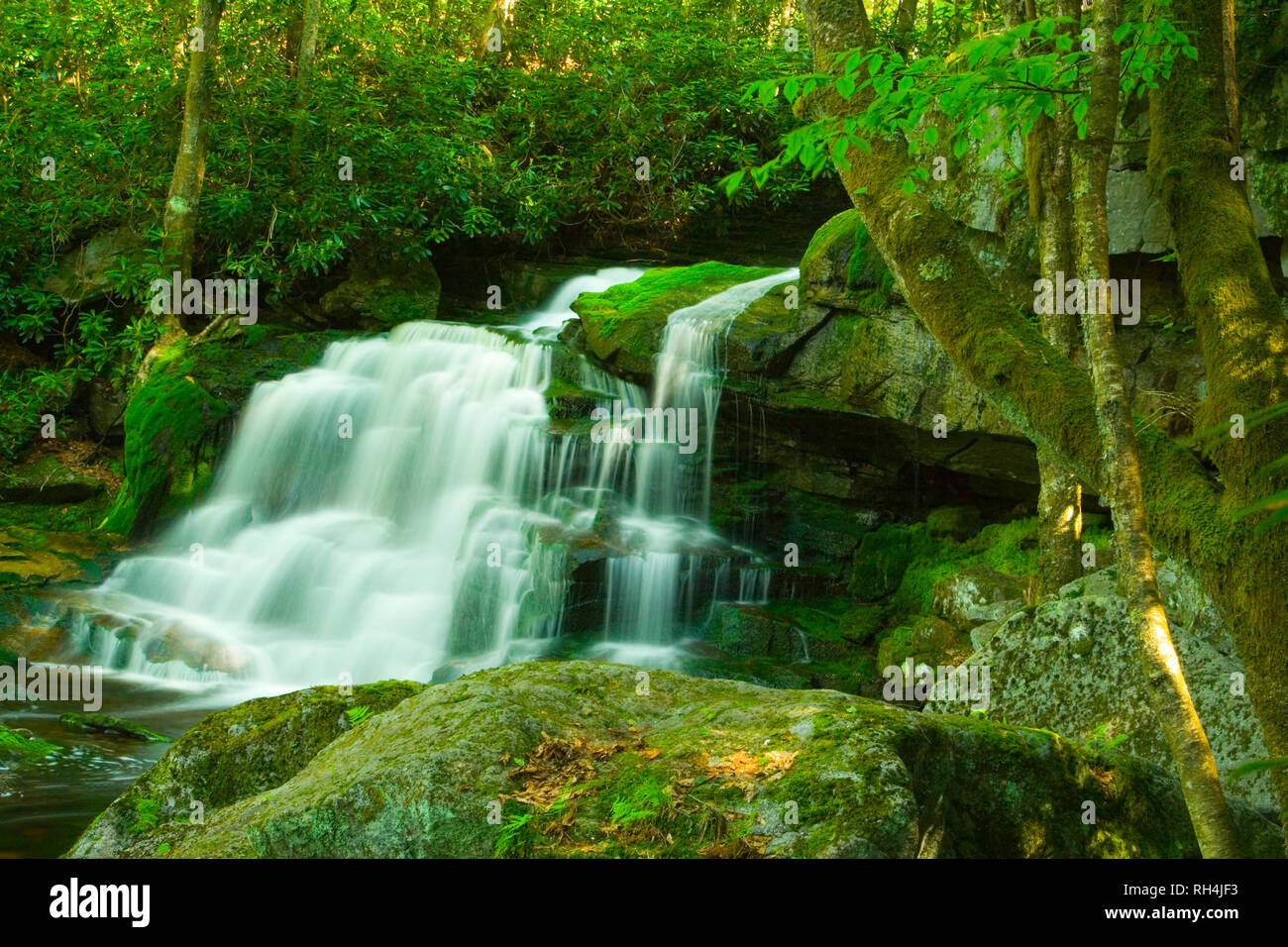 Blackwater falls state park elakala hi-res stock photography and images ...