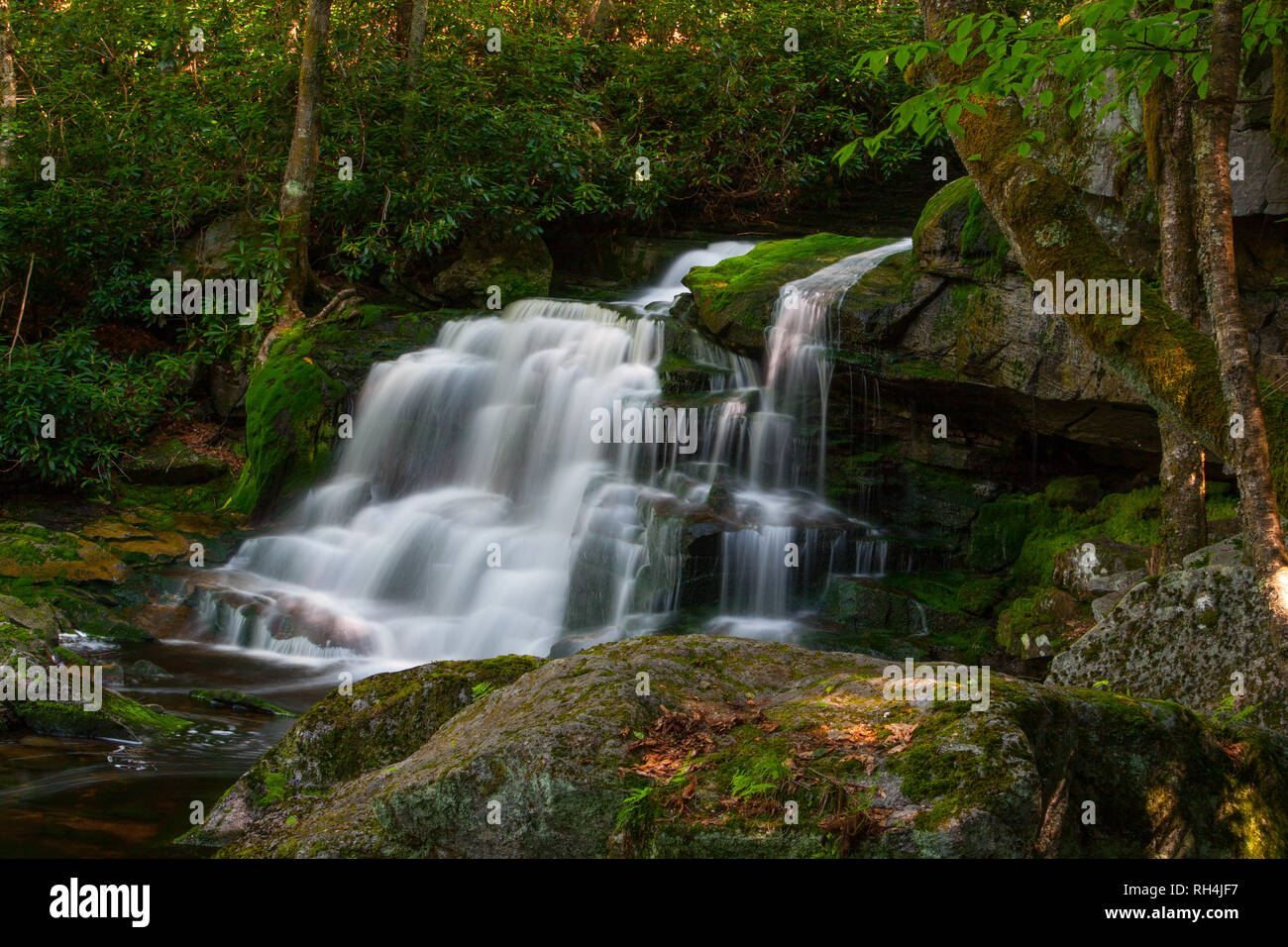Blackwater falls state park elakala hi-res stock photography and images ...