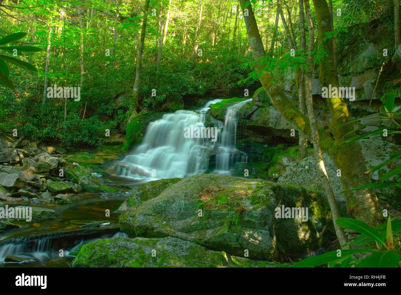 Blackwater falls state park elakala hi-res stock photography and images ...