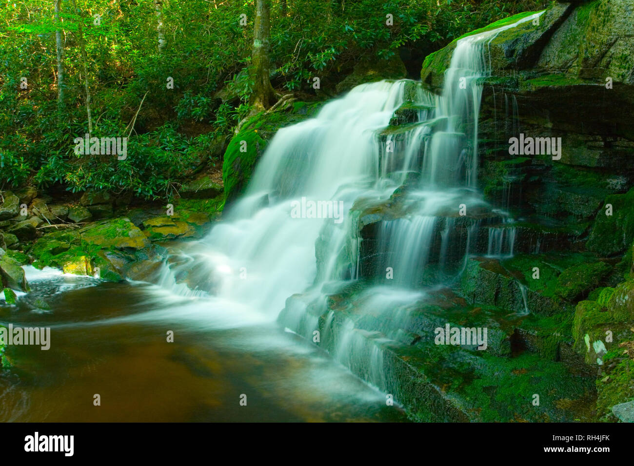 Blackwater falls state park elakala hi-res stock photography and images ...
