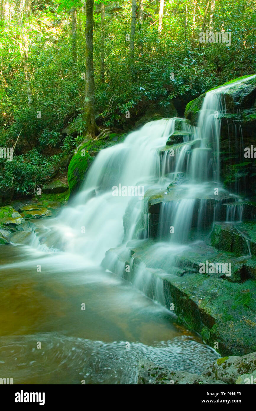 Blackwater falls state park elakala hi-res stock photography and images ...
