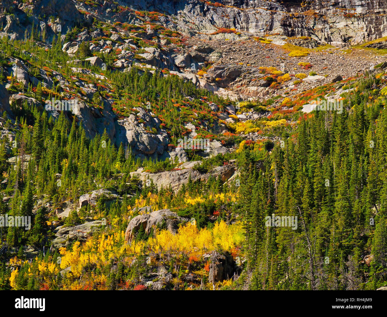 Mills lake rocky mountains hi-res stock photography and images - Alamy
