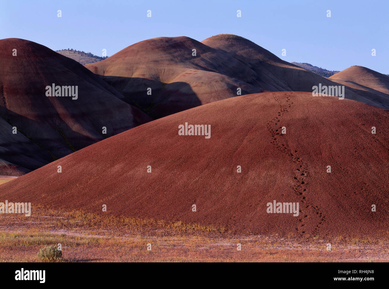 USA, Oregon, John Day Fossil Beds National Monument, Animal tracks ...