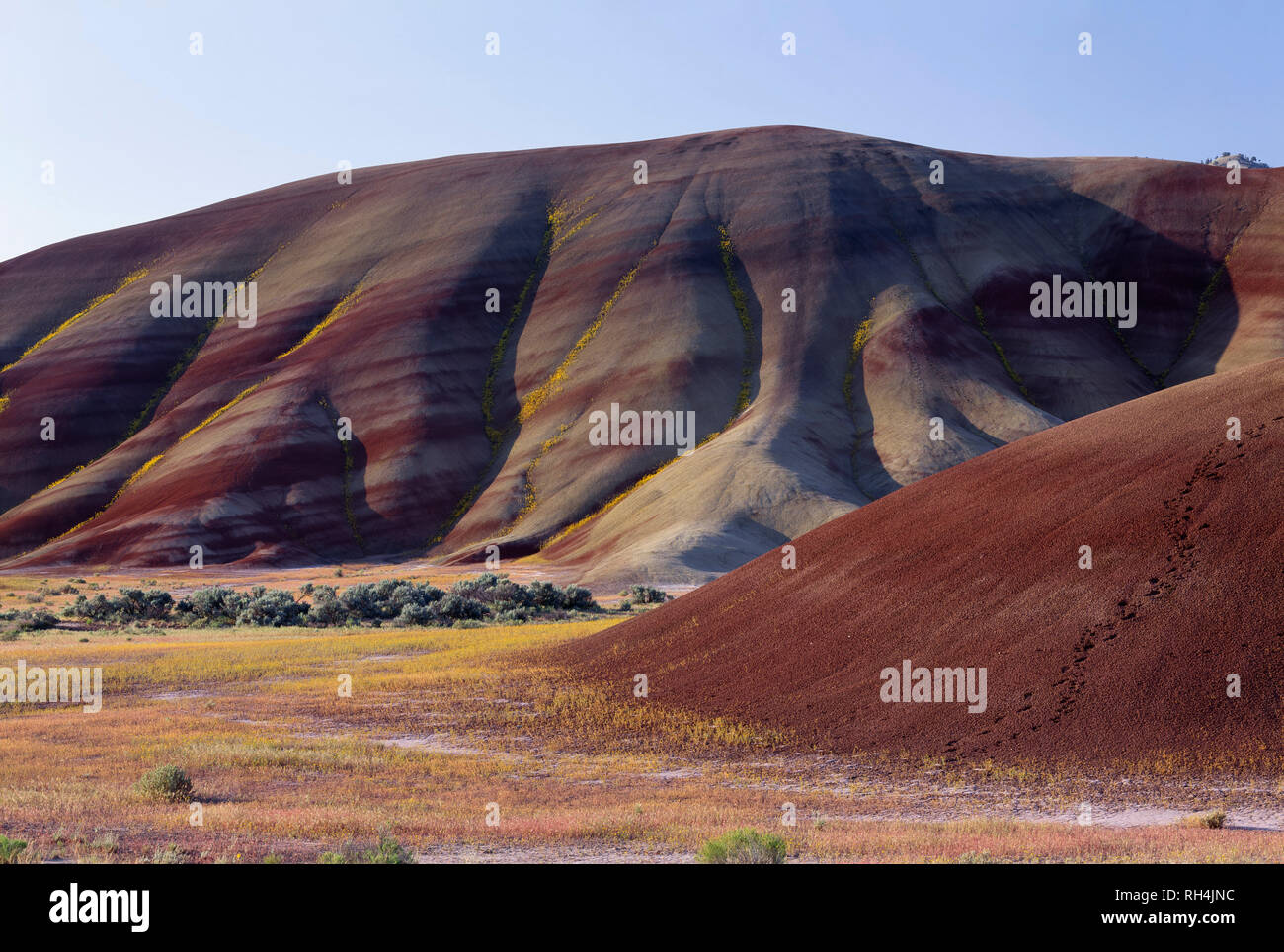 USA, Oregon, John Day Fossil Beds National Monument, Animal tracks ...