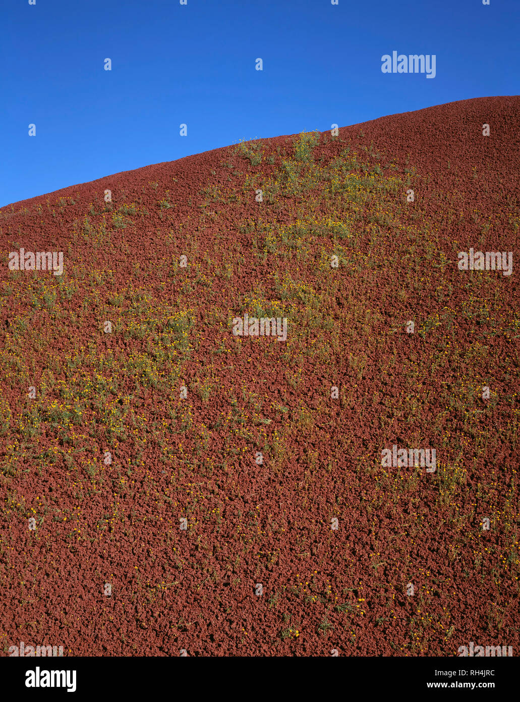 USA; Oregon; John Day Fossil Beds National Monument; Painted Hills Unit ...