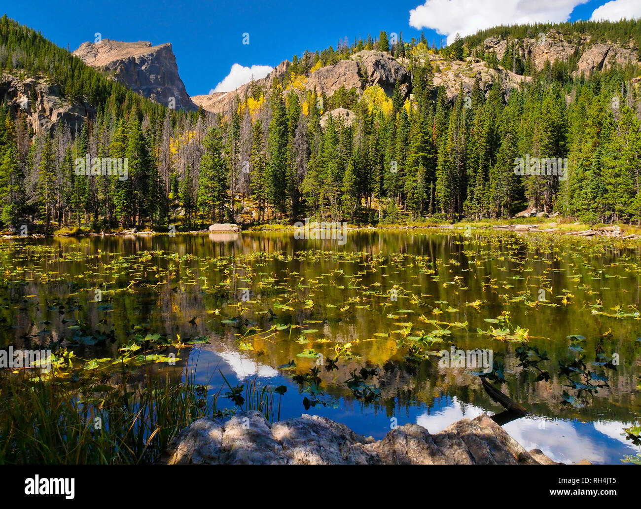 Nymph Lake, Dream Lake Trail, Rocky Mountain National Park, Estes ...