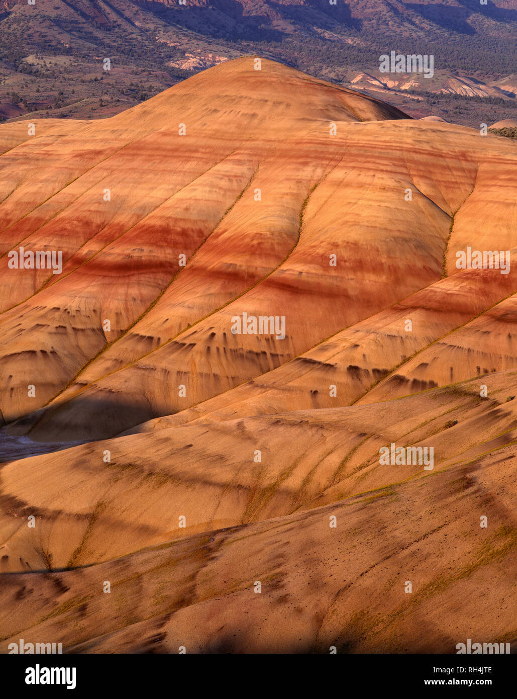 USA, Oregon, John Day Fossil Beds National Monument, Painted Hills Unit ...