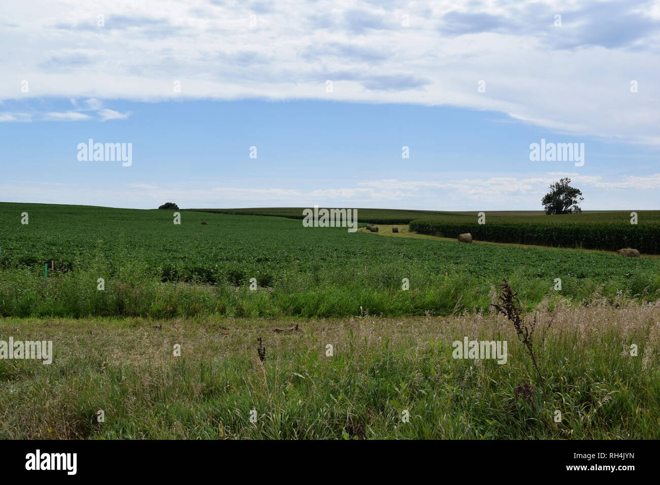 Open field farming hi-res stock photography and images - Alamy
