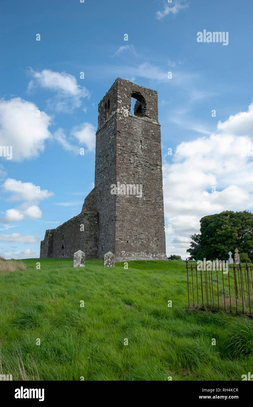 Skryne Church ruin, Meath, Ireland Stock Photo - Alamy
