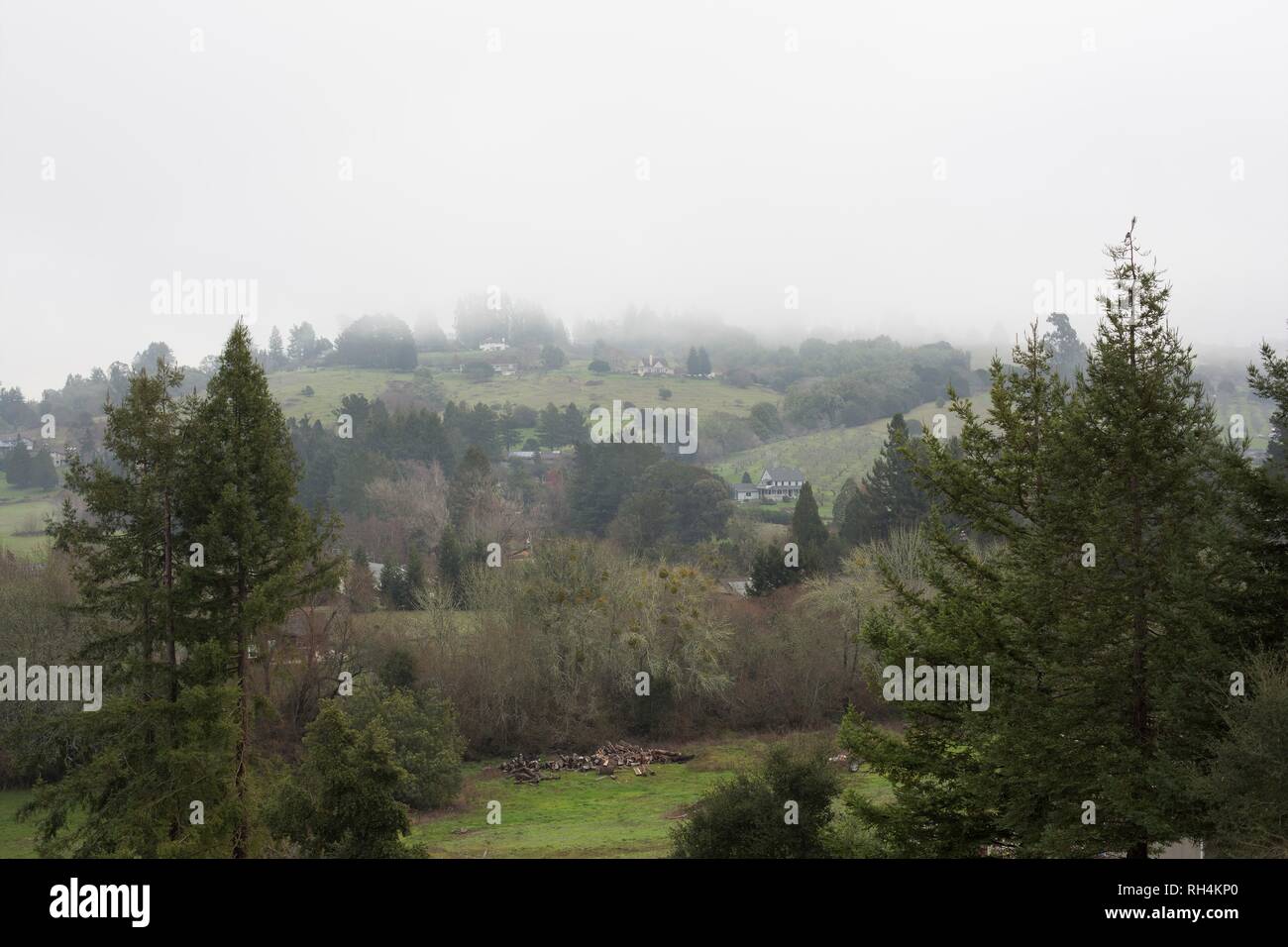 Sebastopol hills hi-res stock photography and images - Alamy