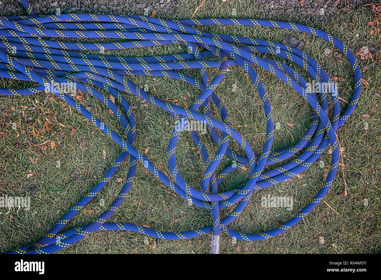 Blue Climbing Rope on green grass for rock climbing or wall climbing ...