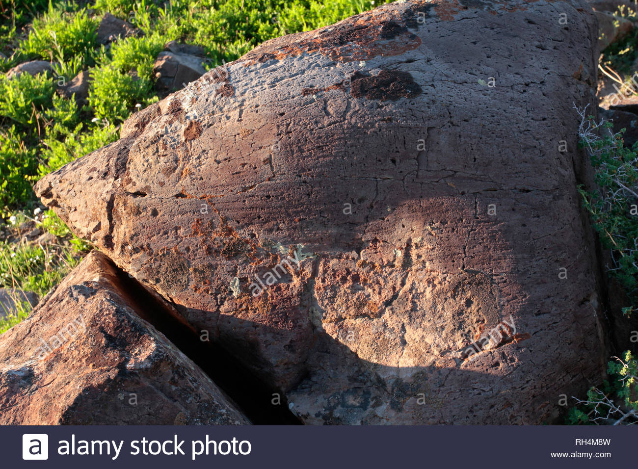 Glacial Striations High Resolution Stock Photography and Images - Alamy