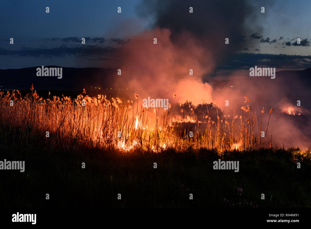 Agriculture fire at night hi-res stock photography and images - Alamy