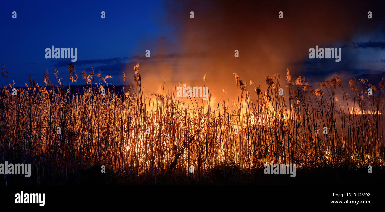 Agriculture fire at night hi-res stock photography and images - Alamy
