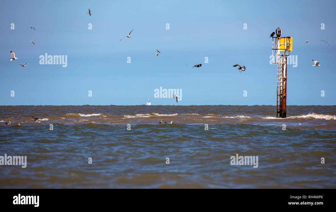 The Platforms at Sea Stock Photo - Alamy