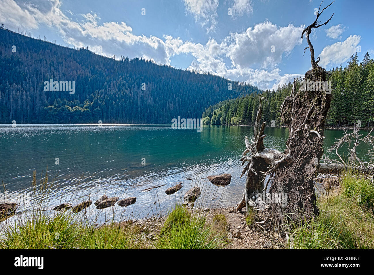 Glacial Black Lake surrounded by the forest in South Bohemia Stock ...