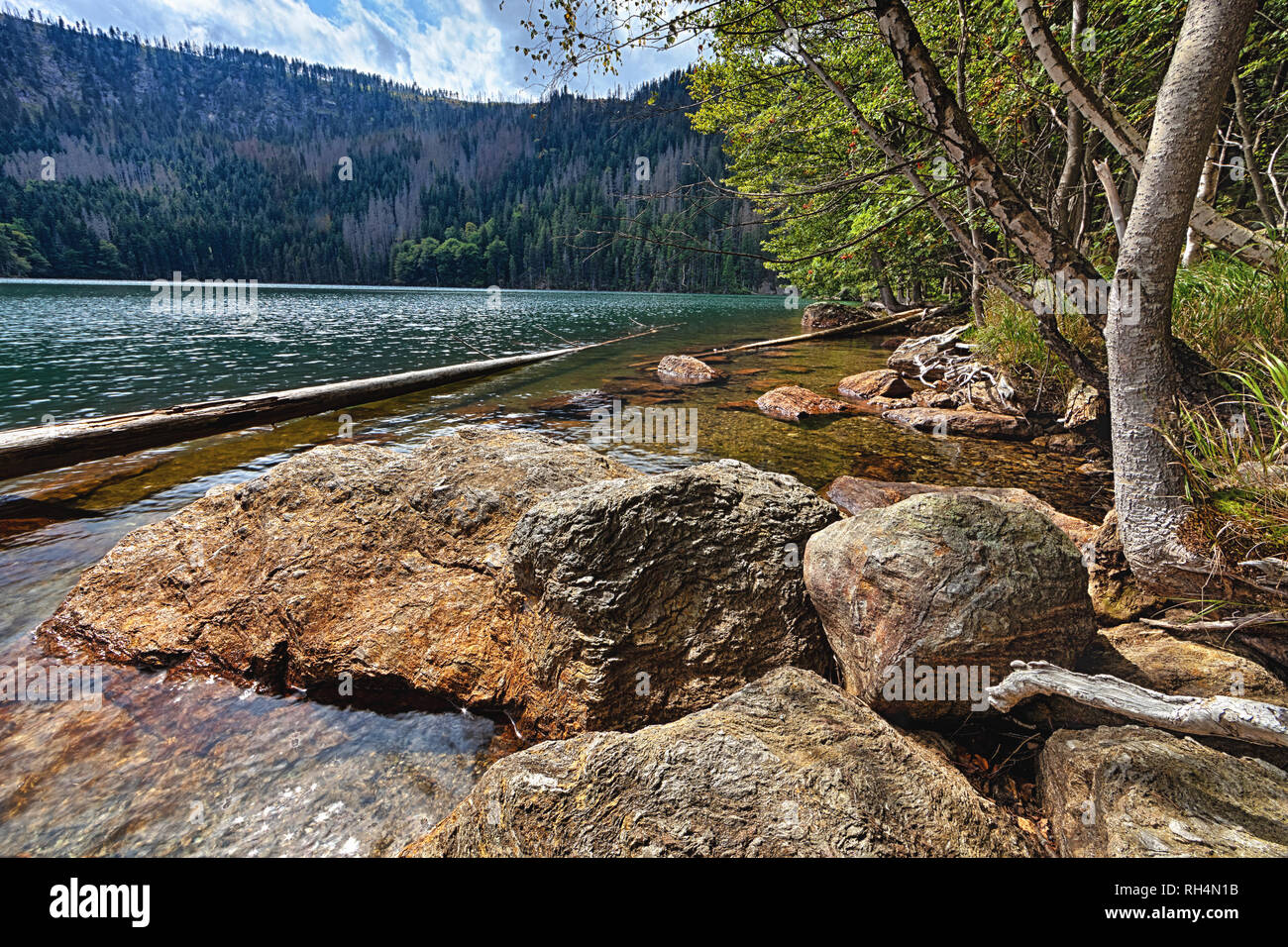 Glacial Black Lake surrounded by the forest in South Bohemia Stock ...