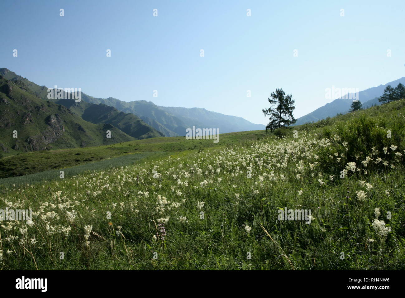 Altai region Russia mountain landscapes Stock Photo - Alamy