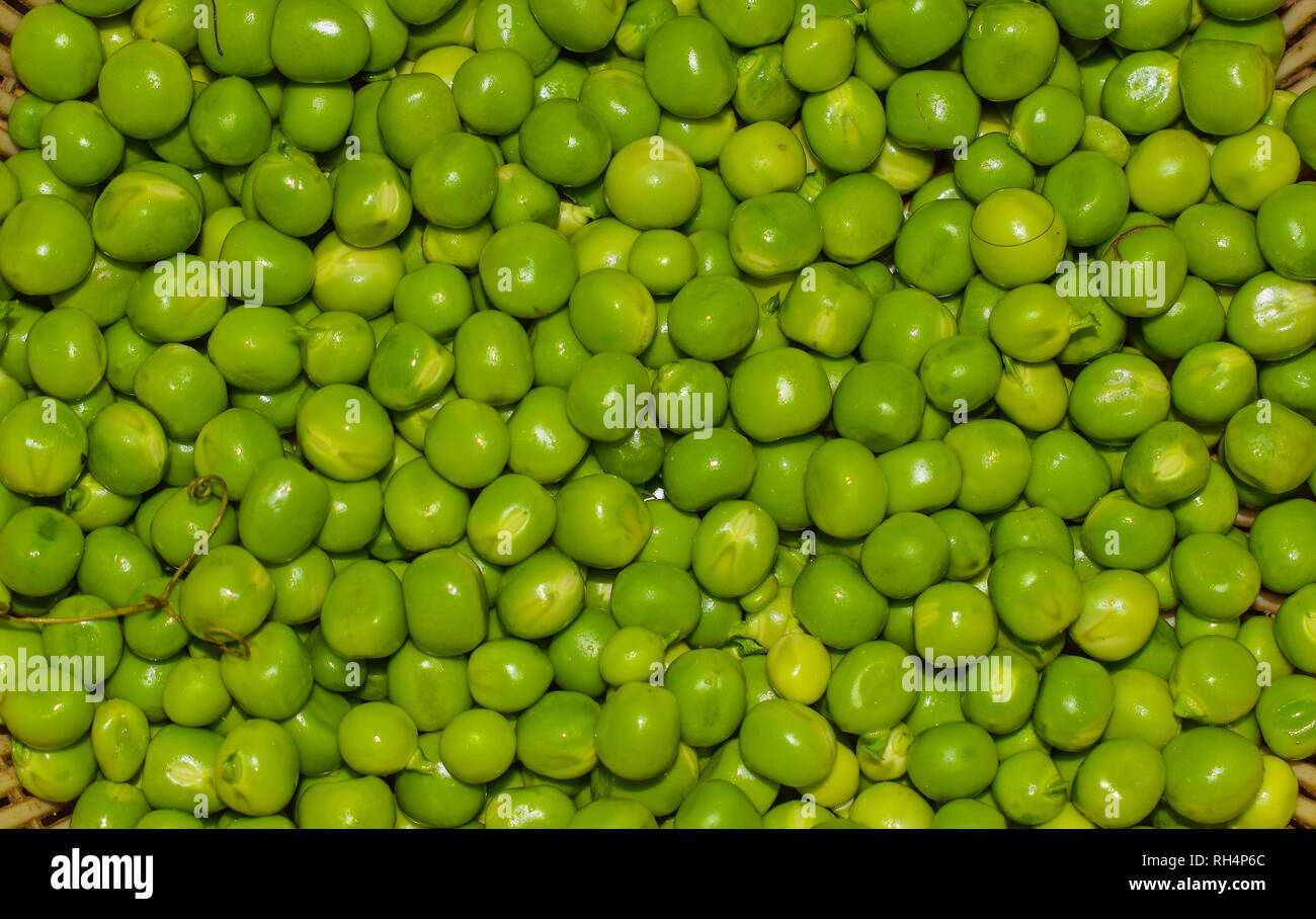 green peas in bowl with beautiful shining color Stock Photo - Alamy