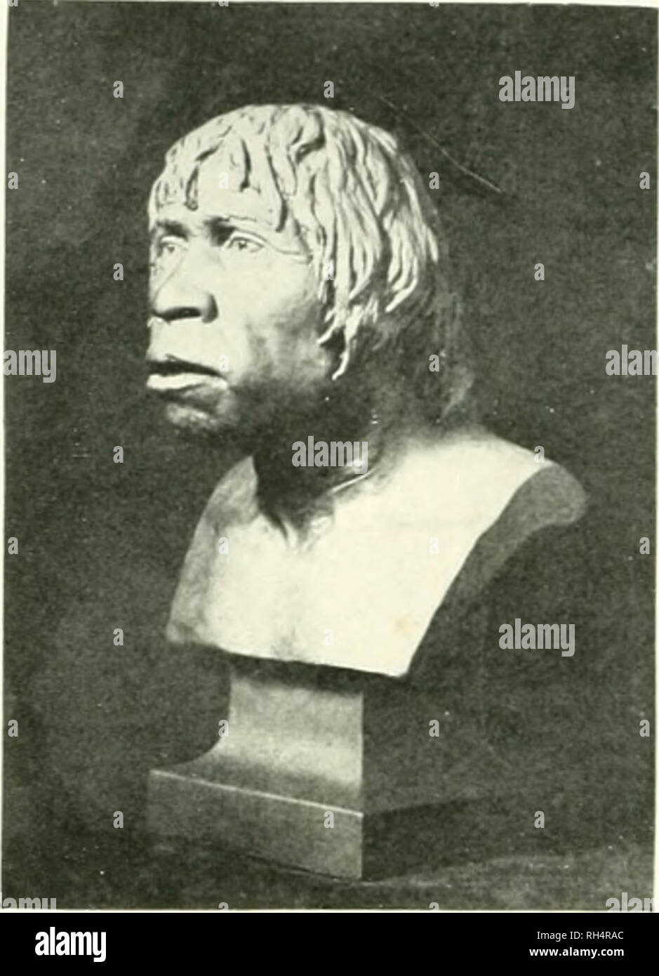 Pithecanthropus Erectus