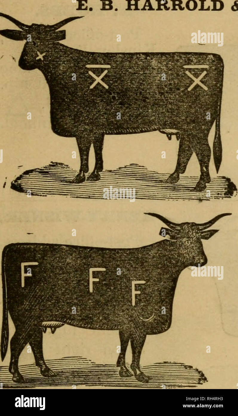 . Brand book. Cattle brands; Cattle brands. Brands Cherokee Strip. 25 B ...