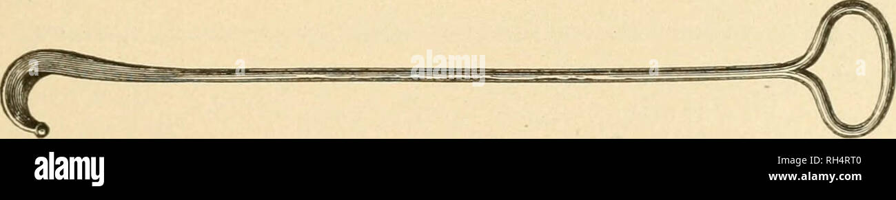 . Bovine obstetrics. Veterinary obstetrics. THE INSTRUMENTS FOR ...