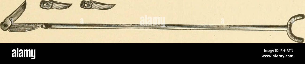 . Bovine obstetrics. Veterinary obstetrics. Fig. 47.—Gunther's Bistoury ...