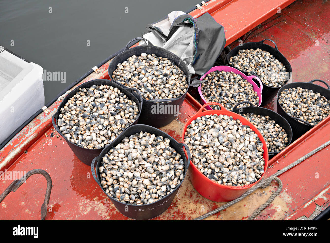 Clam boat hi-res stock photography and images - Alamy