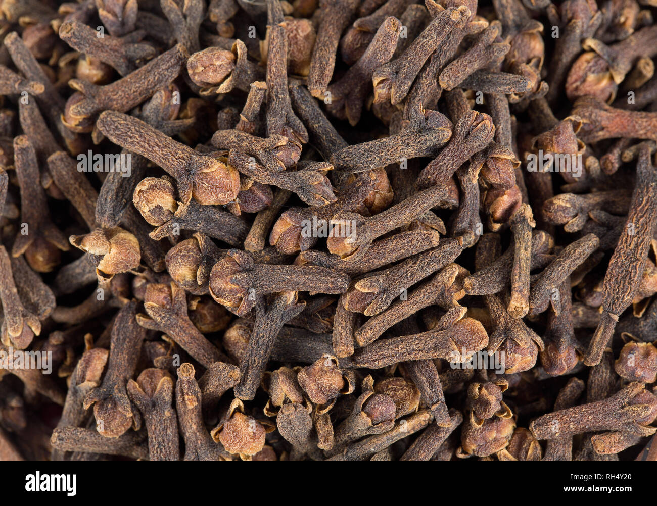 Objects plant hi-res stock photography and images - Alamy