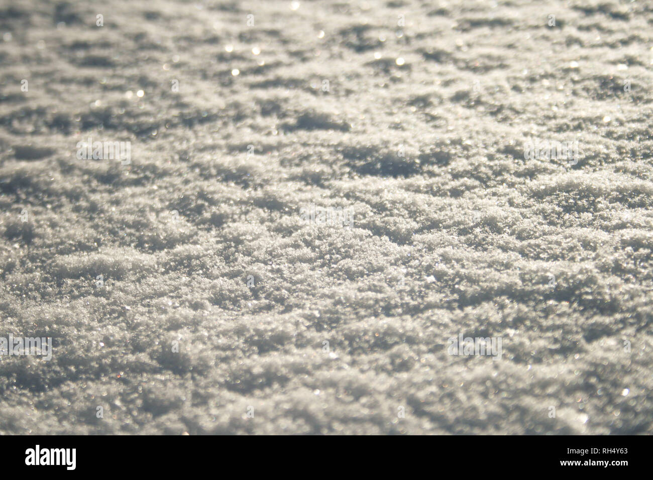 Snow surface close up, winter background with snowflakes at sunset ...