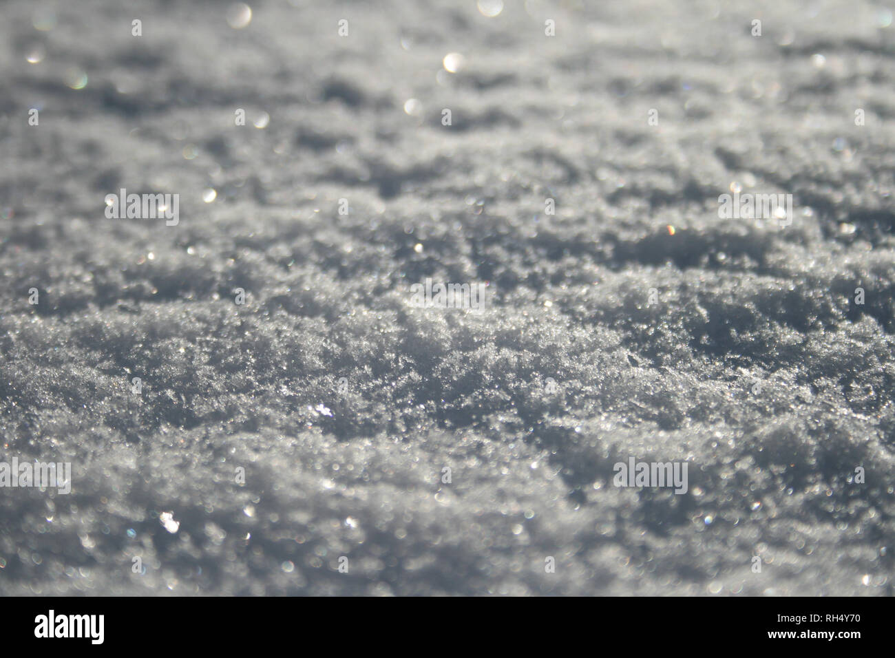 Snow surface close up, winter background with snowflakes at sunset ...