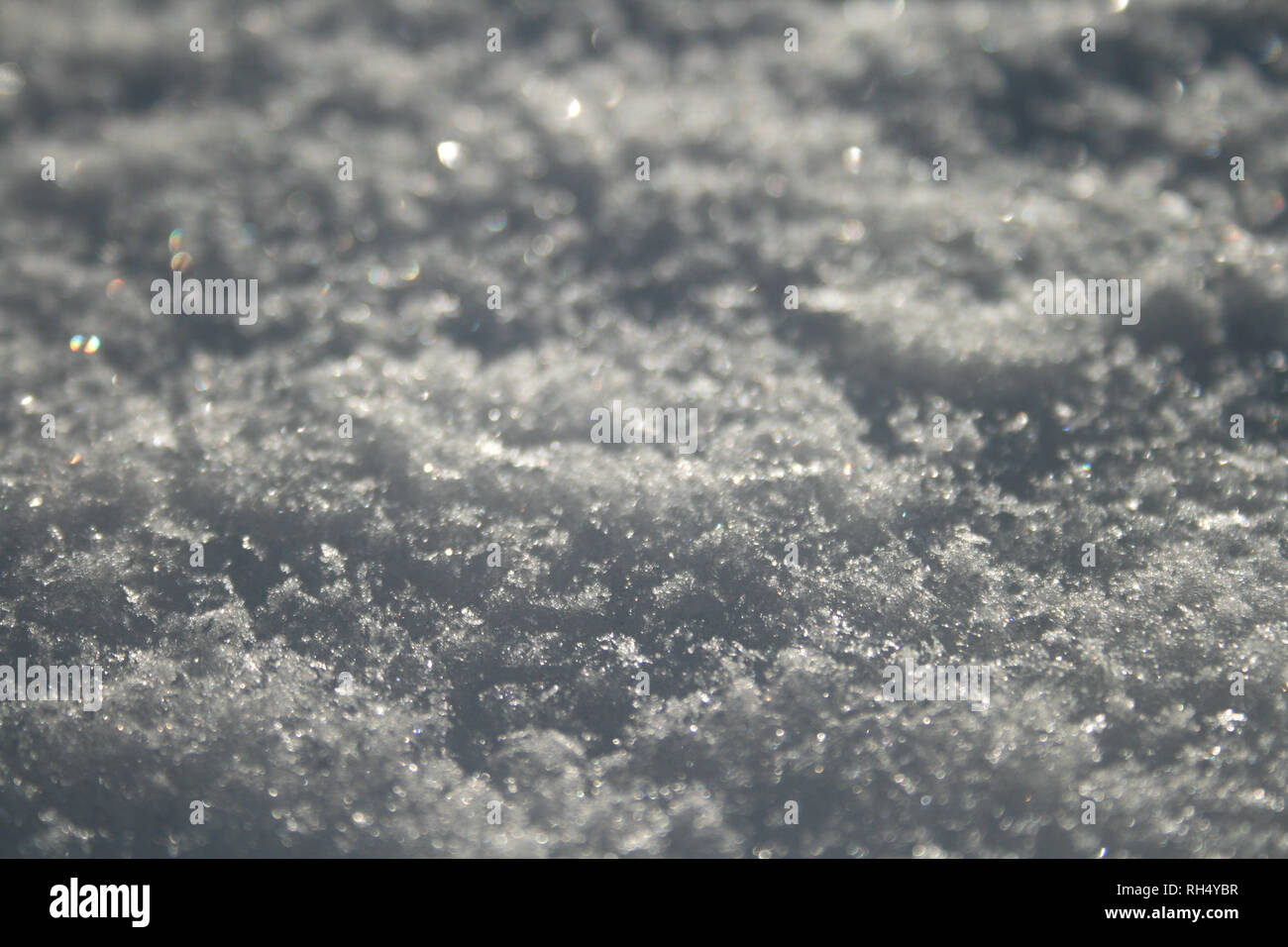 Snow surface close up, winter background with snowflakes at sunset ...