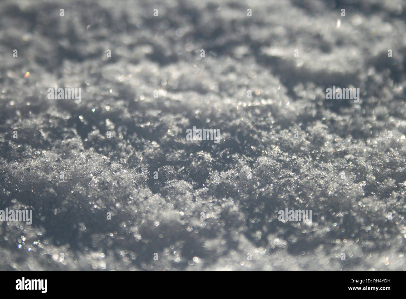 Snow surface close up, winter background with snowflakes at sunset ...