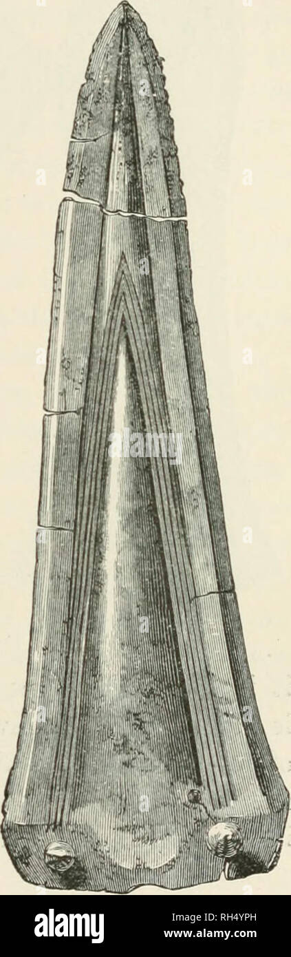 . British barrows: a record of the examination of sepulchral mounds in ...