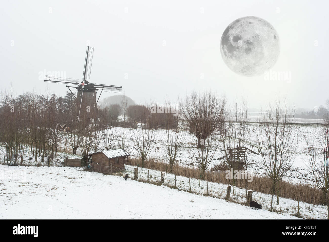Beautiful Dutch winter windmill landscape with full moon Stock Photo - Alamy