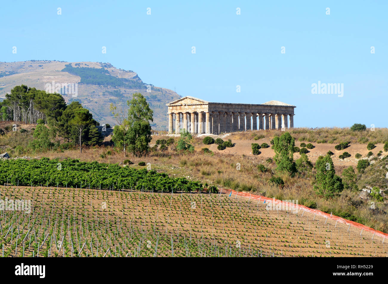 Ruins of the Greek temple in the ancient city of Segesta, Sicily, Italy ...