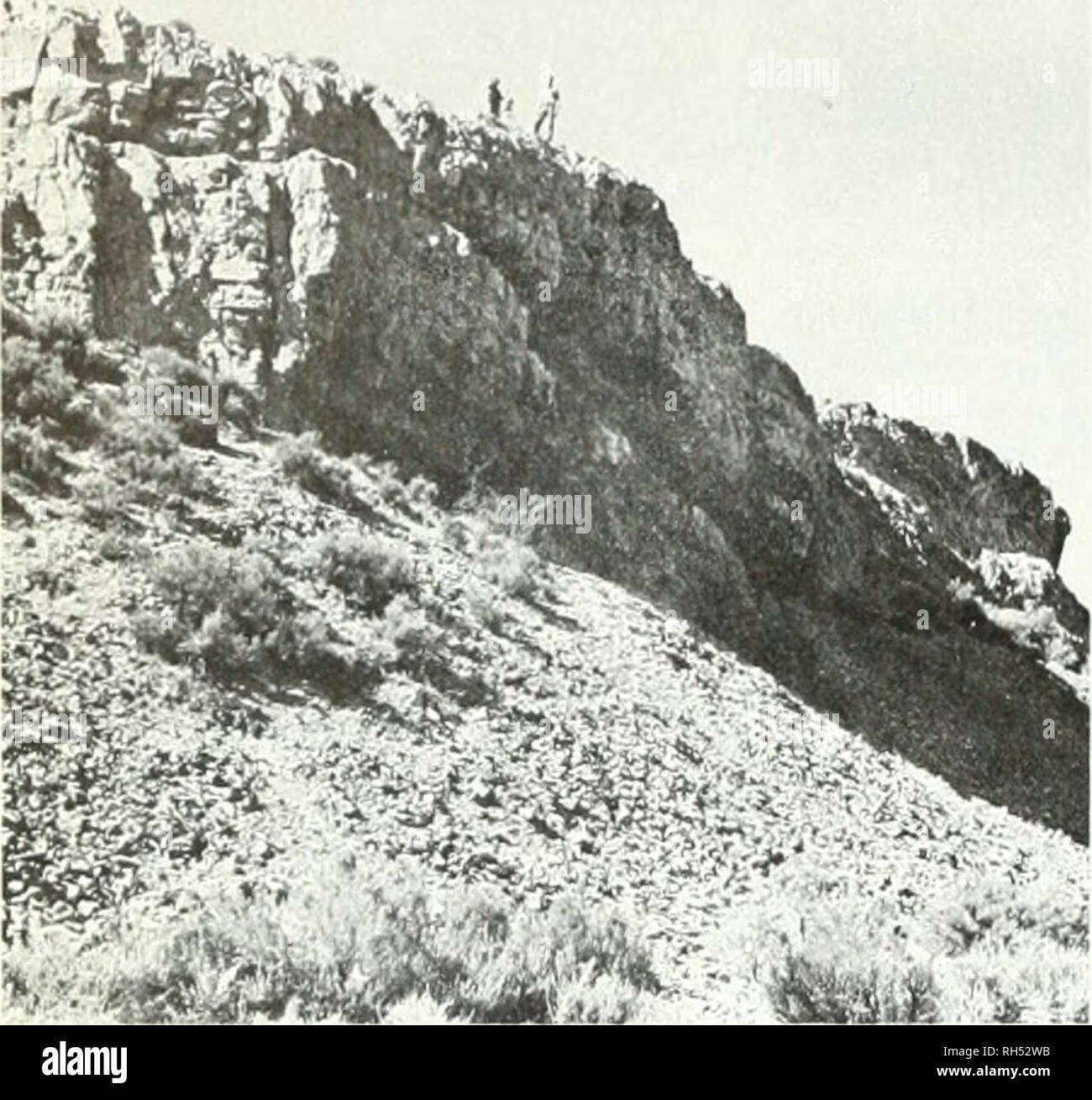 Kim nelson hi-res stock photography and images - Alamy