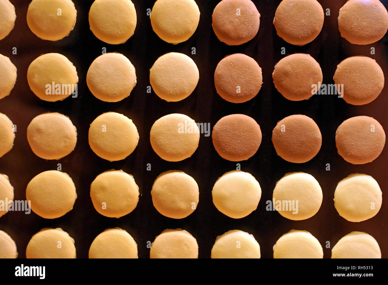French Macaroon Cookies Tray Baking Batch Stock Photo - Alamy