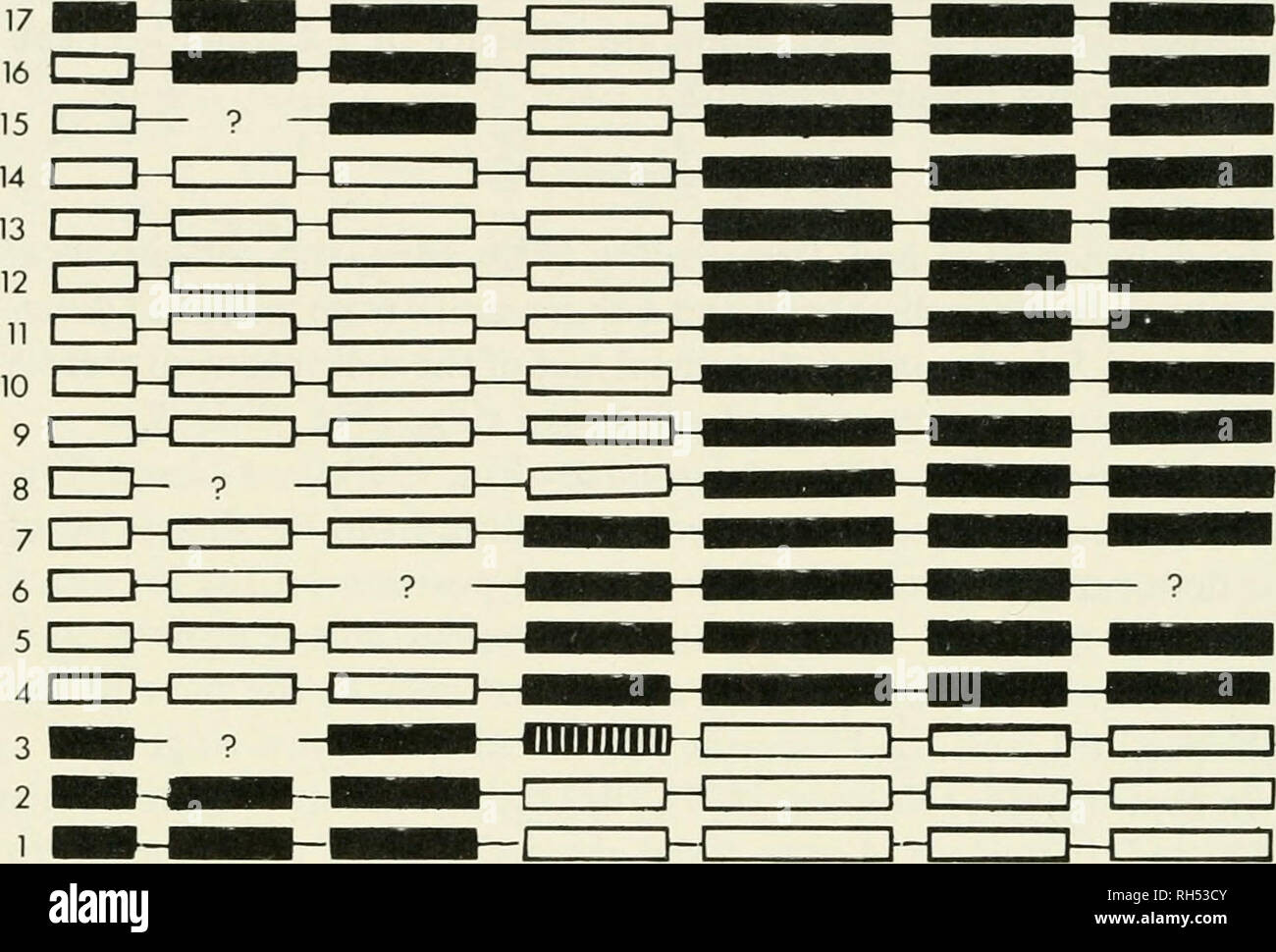 Aerosaurus hi-res stock photography and images - Alamy